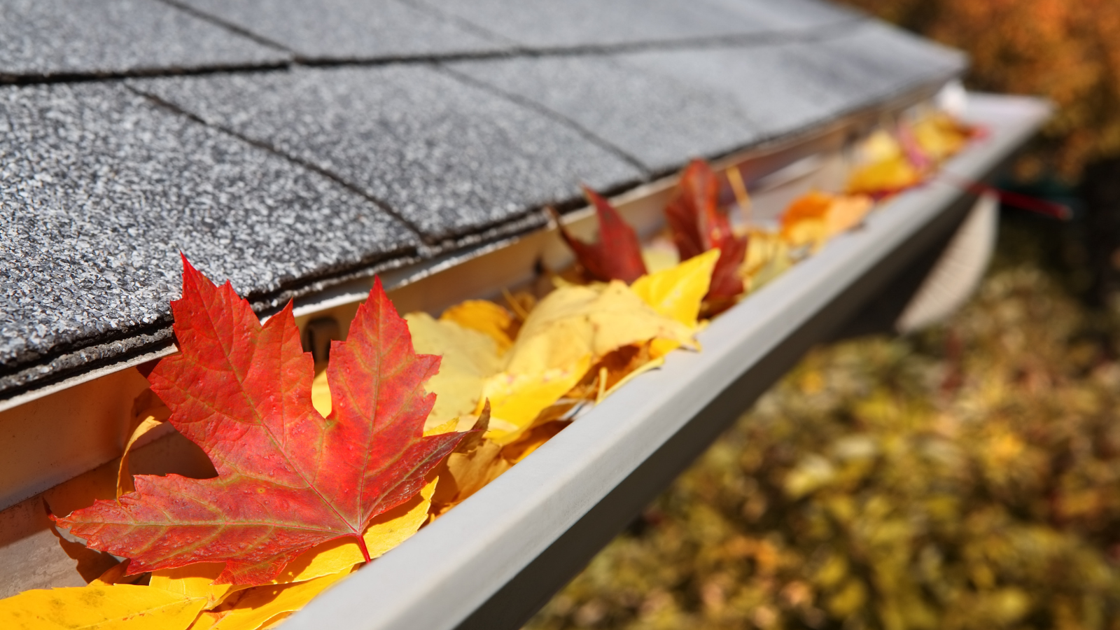 Get Your Gutters Ready for Fall | SkyGuard Home
